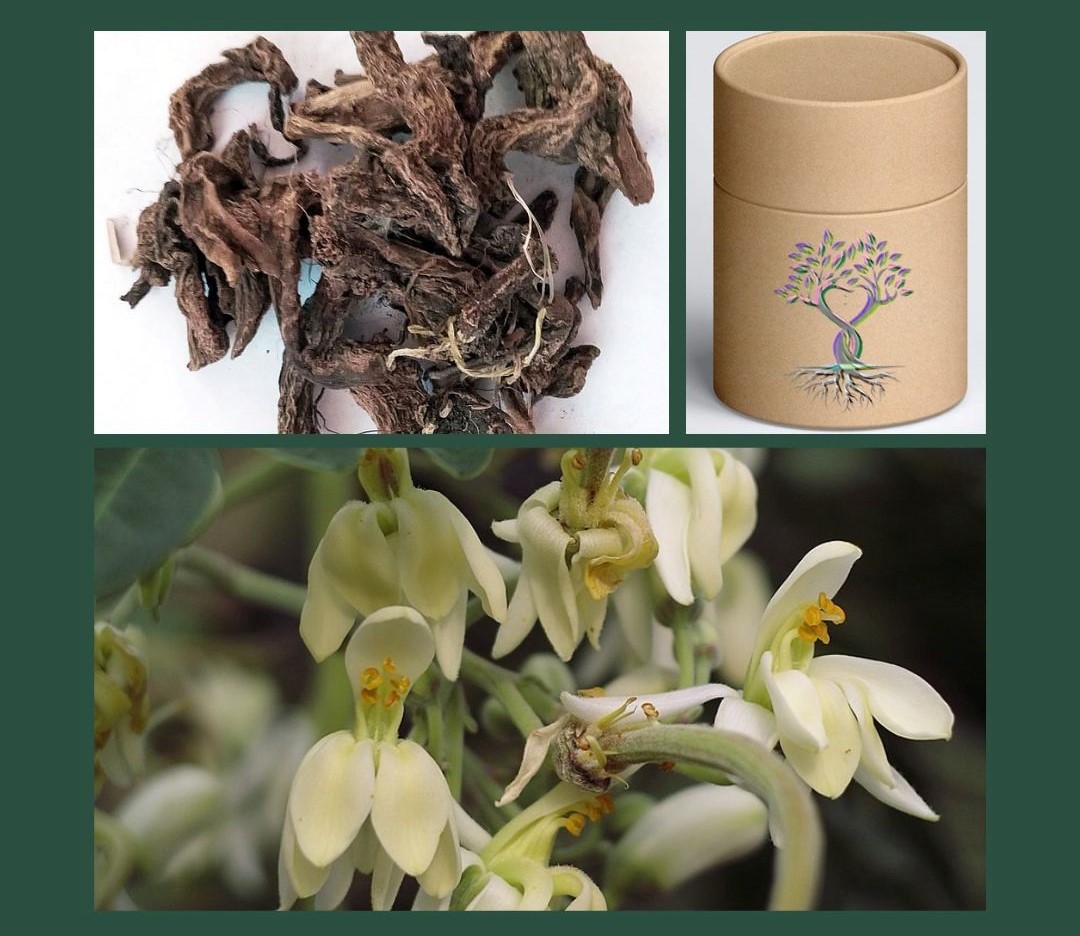 joan-cass - GirlTalkHQ